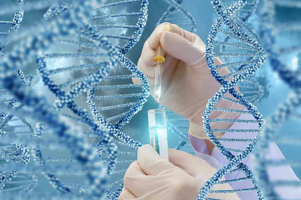 Shocking DNA Twist Solves 40-Year-Old Mystery | The Red Wire